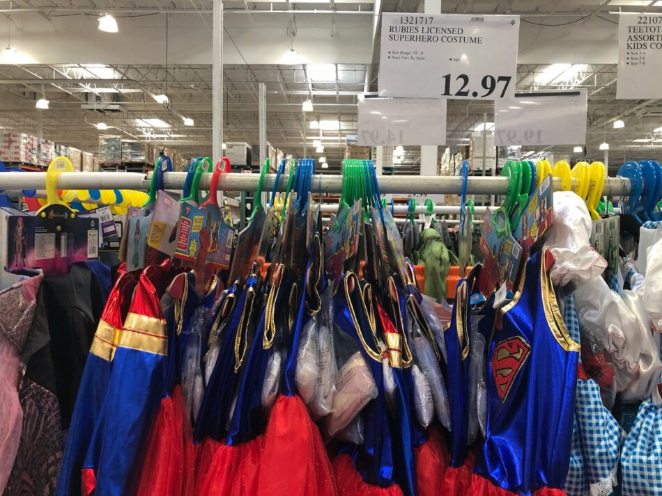 Rubies Licensed Super Hero Costumes - Costco97.com