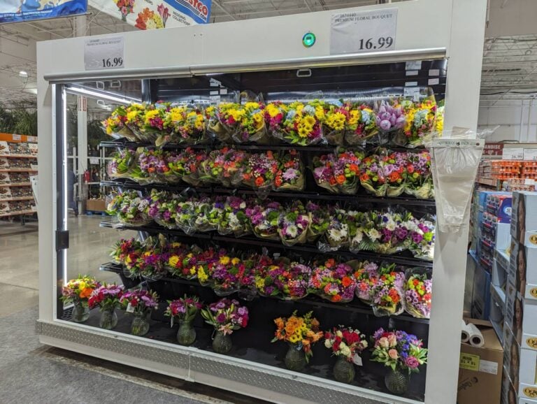 Everything You Need to Know About Costco Flowers in 2024 - Costco97.com