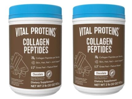9 Best Costco Protein Powder Options