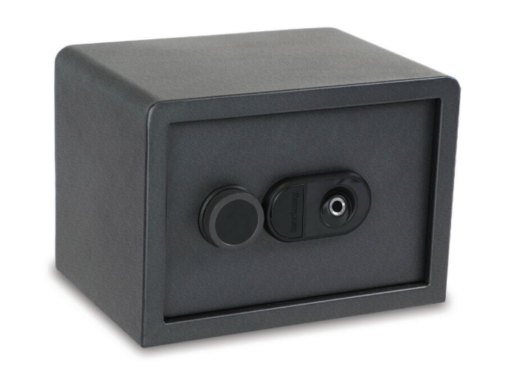 RECALL: Sanctuary Quick Access Biometric Home Safe - Costco97.com