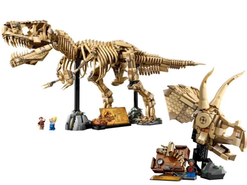 Costco's LEGO Collection: 6 Sets You Might Find at the Warehouse